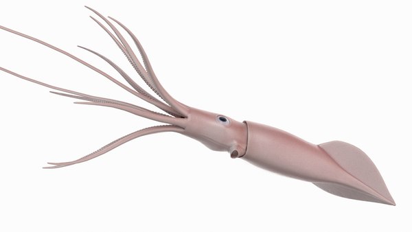 3D deep sea fish model - TurboSquid 1467566