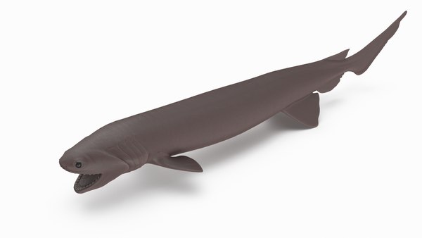 3D deep sea fish model - TurboSquid 1467566