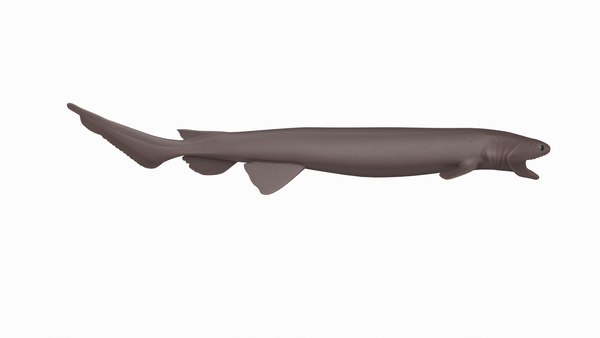 3D deep sea fish model - TurboSquid 1467566