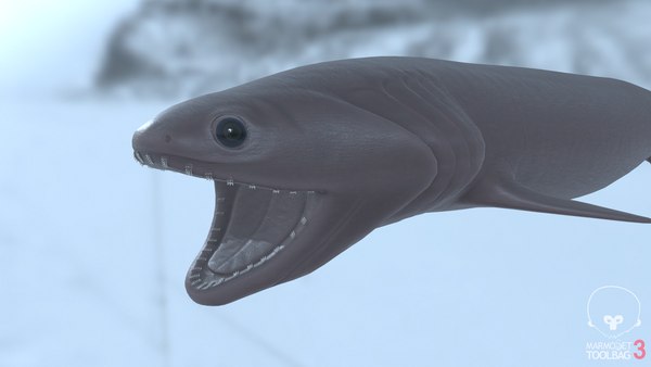 3D deep sea fish model - TurboSquid 1467566