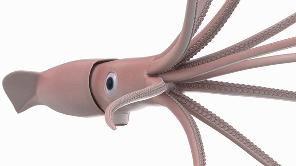 3D deep sea fish model - TurboSquid 1467566