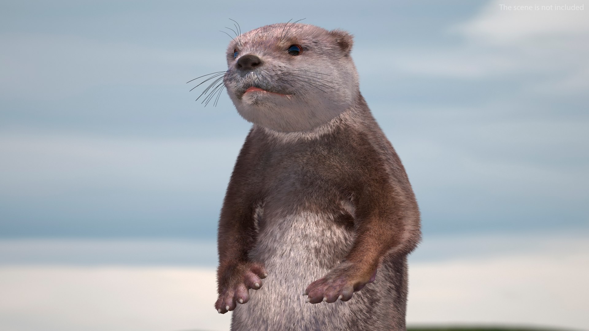 3D River Otter Standing Pose Fur - TurboSquid 2137514