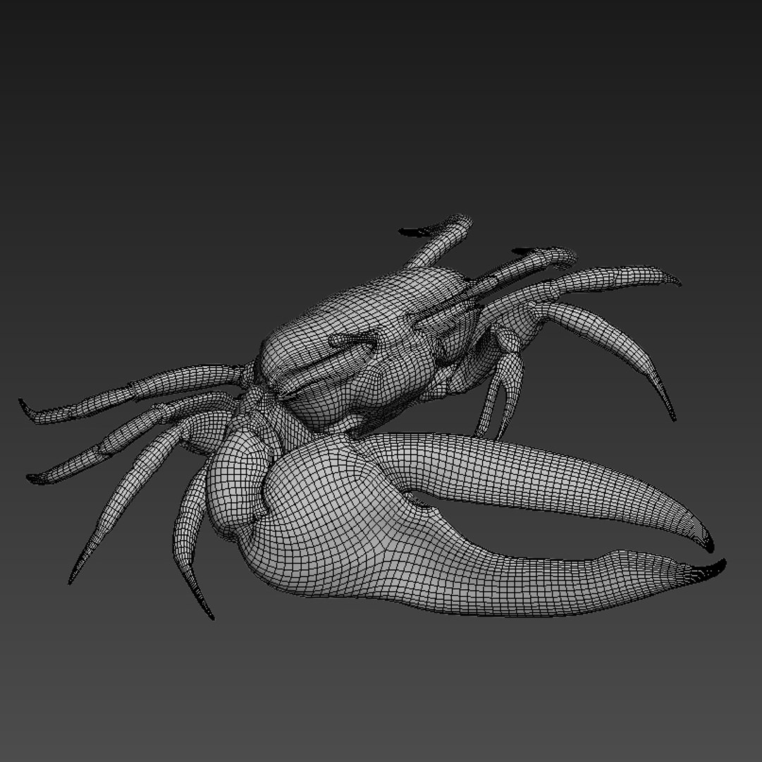 Realistic Crab 3d Max