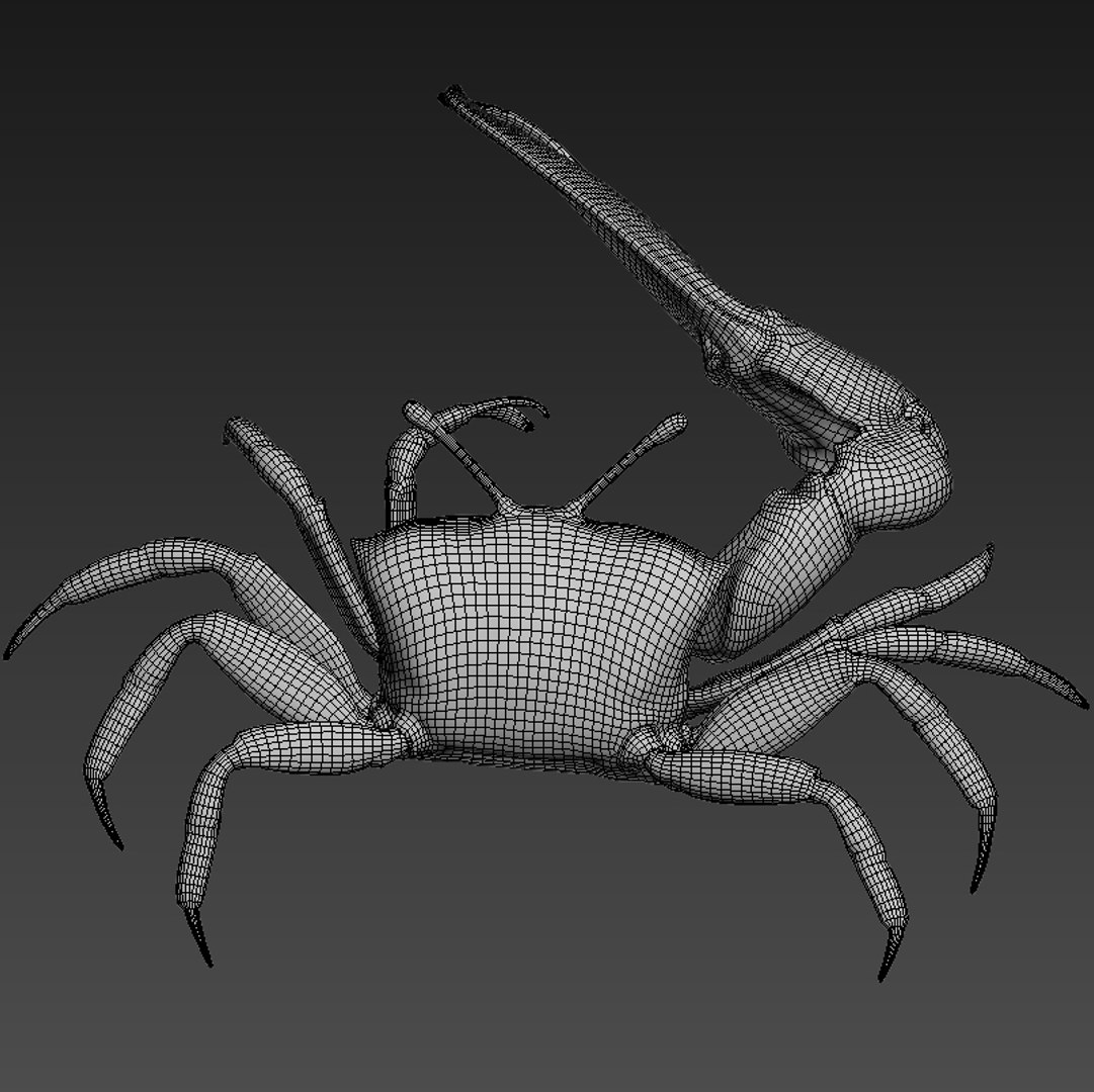 Realistic Crab 3d Max