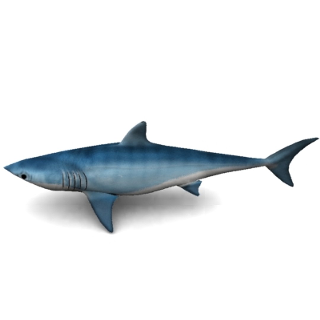 Obj Mako Shark