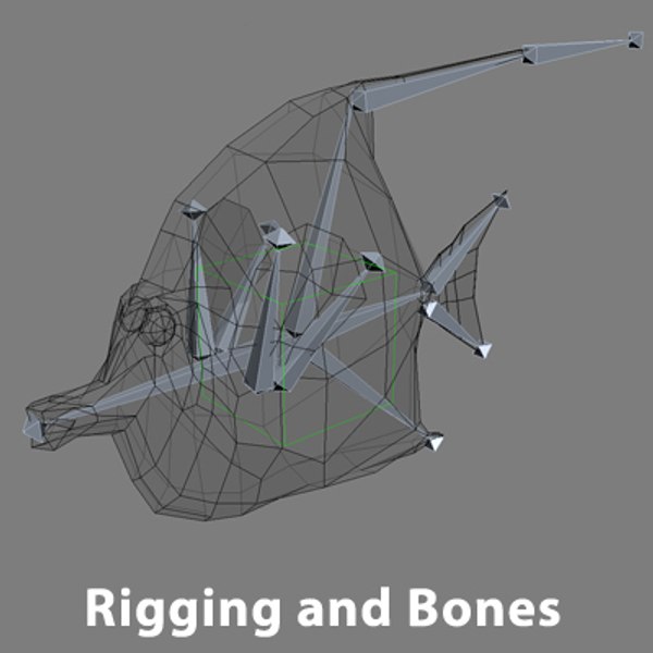 clownfish rigged 3d 3ds