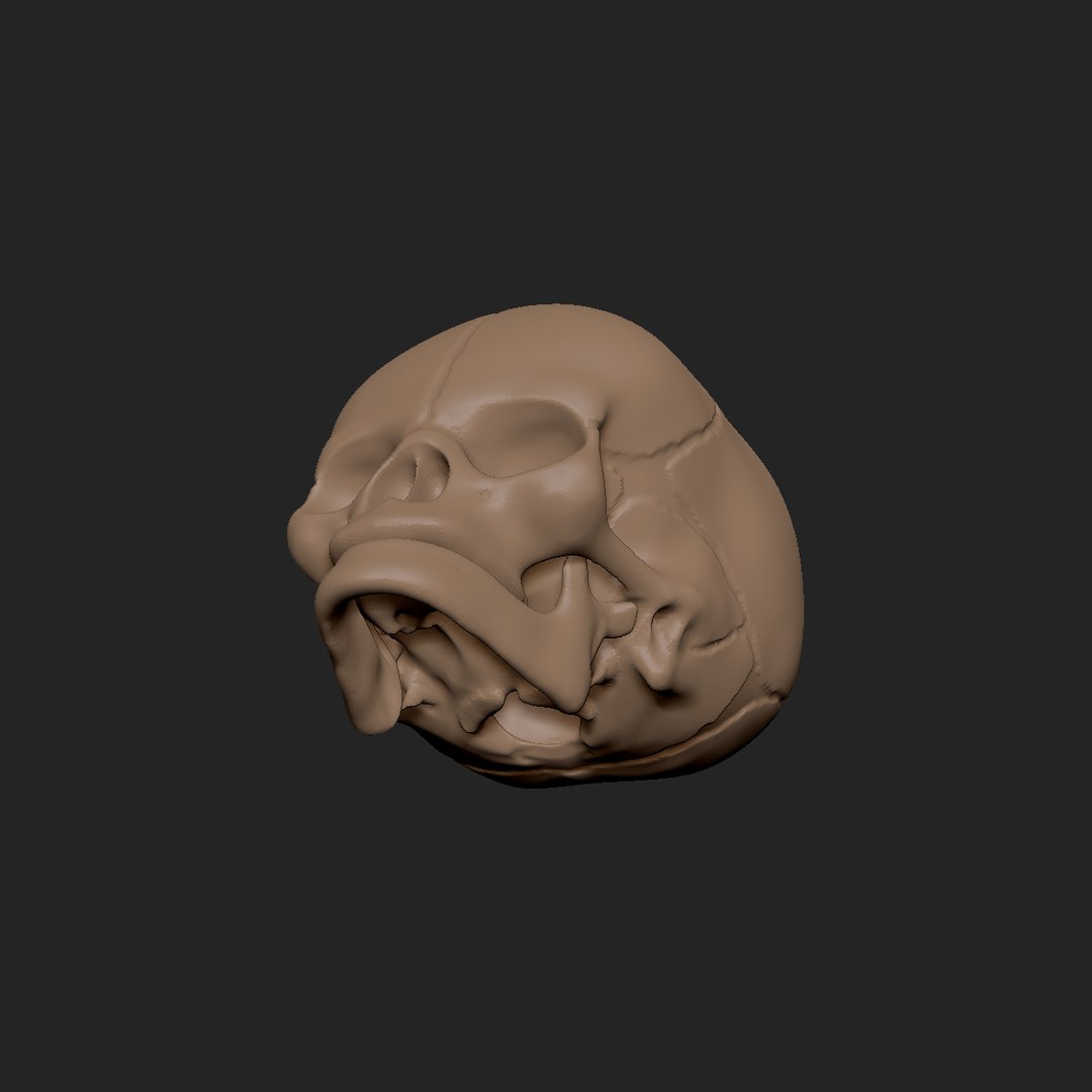 3ds Max Skull Z