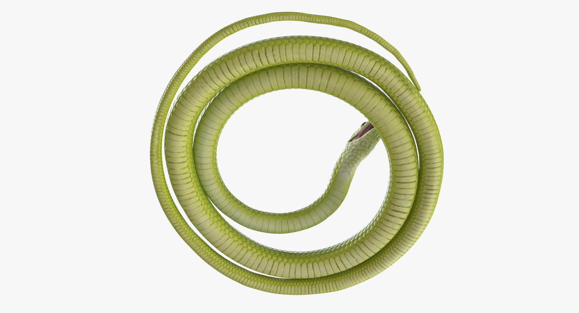 3d Rigged Snakes Black Green