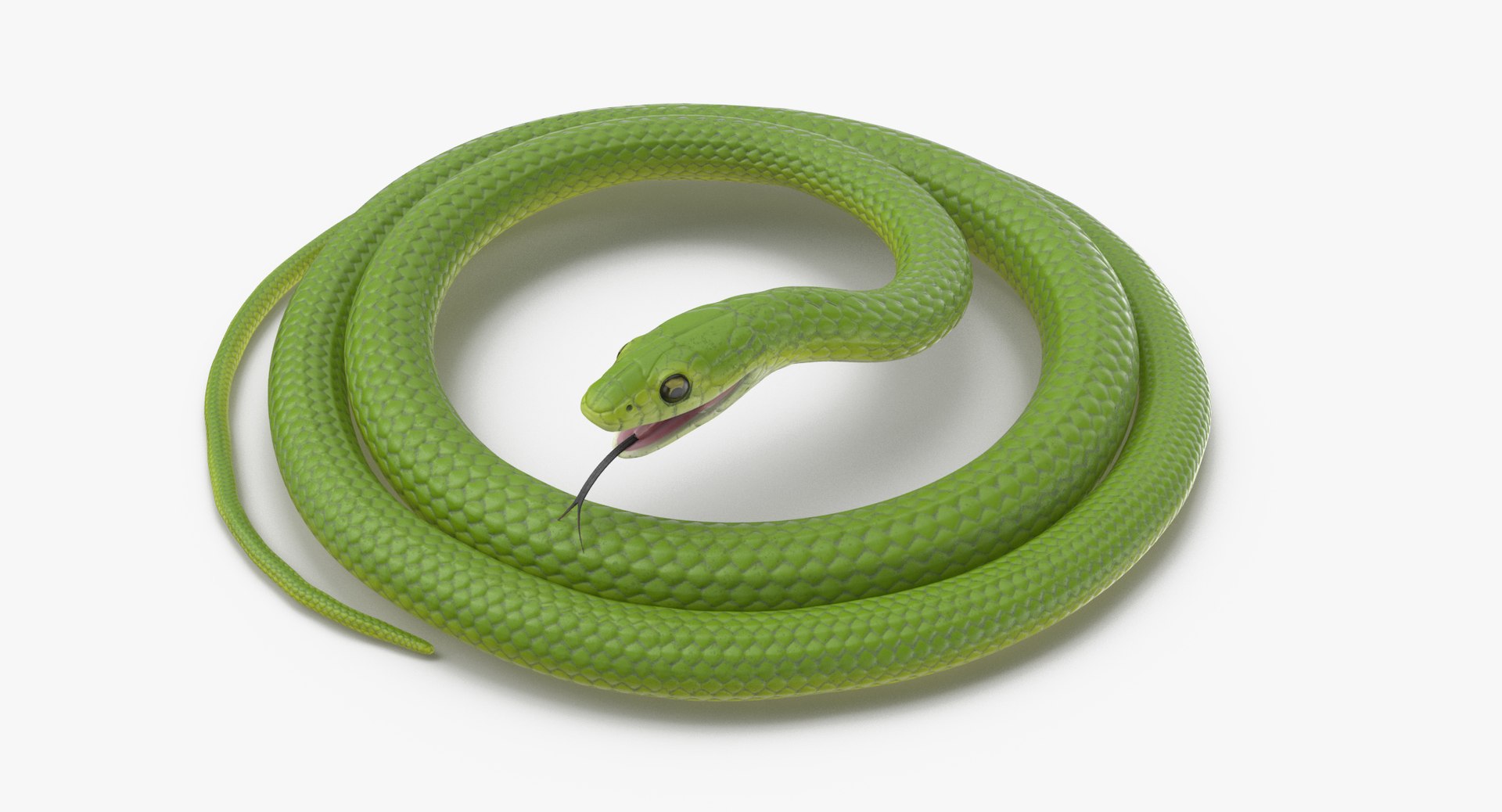 3d Rigged Snakes Black Green