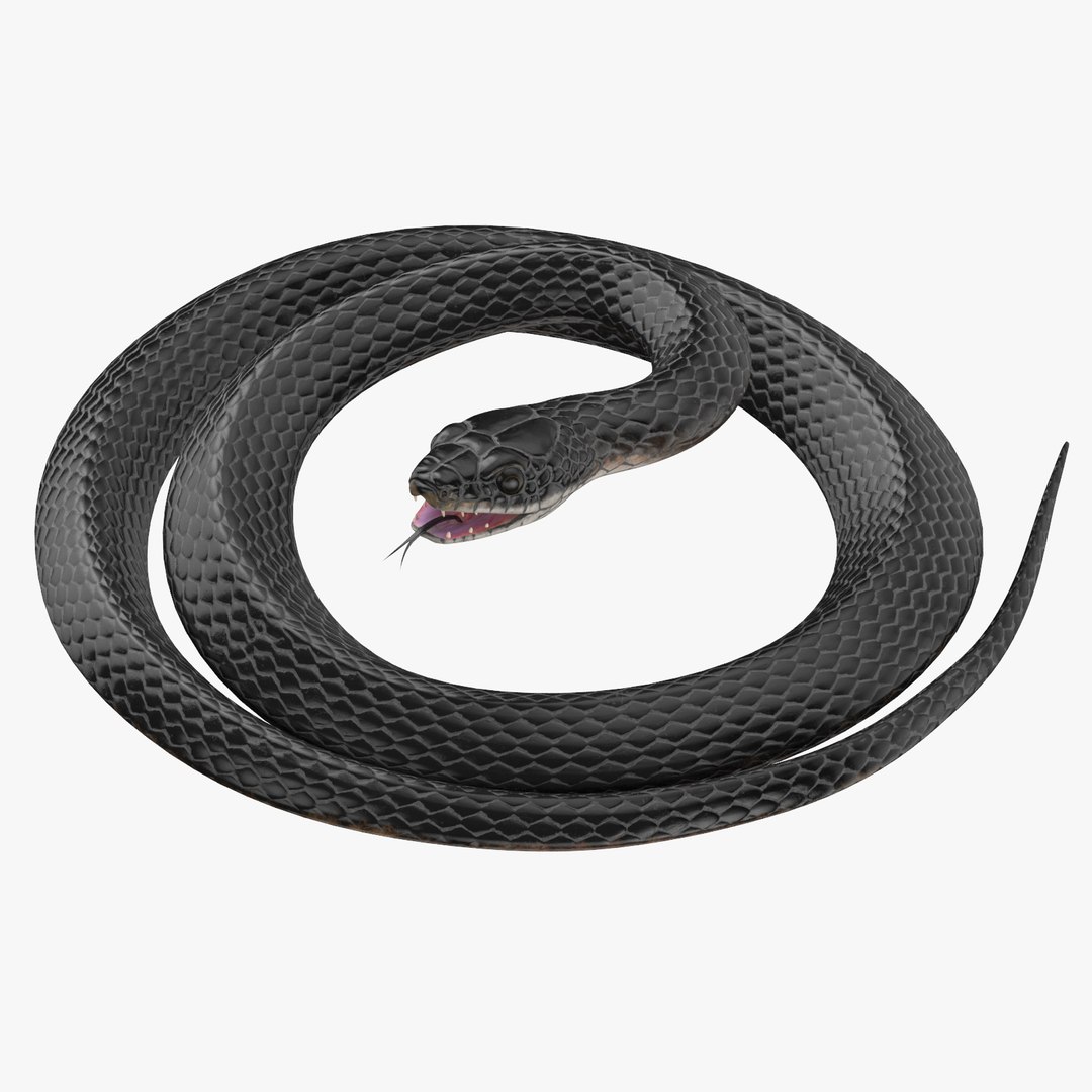 3d Rigged Snakes Black Green