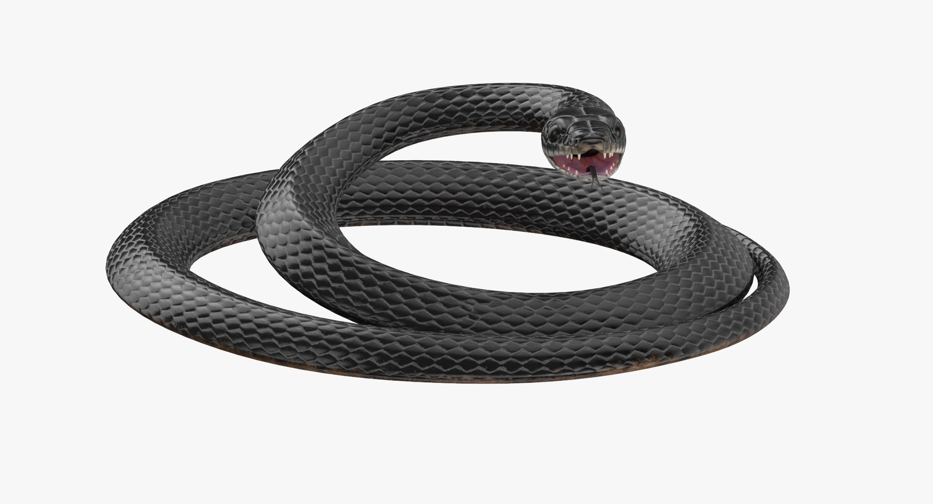 3d Rigged Snakes Black Green