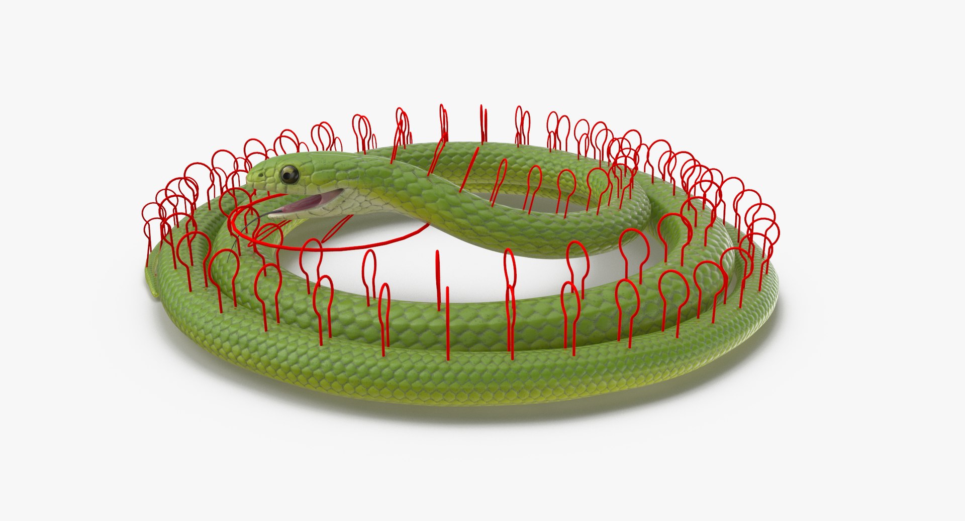 3d Rigged Snakes Black Green