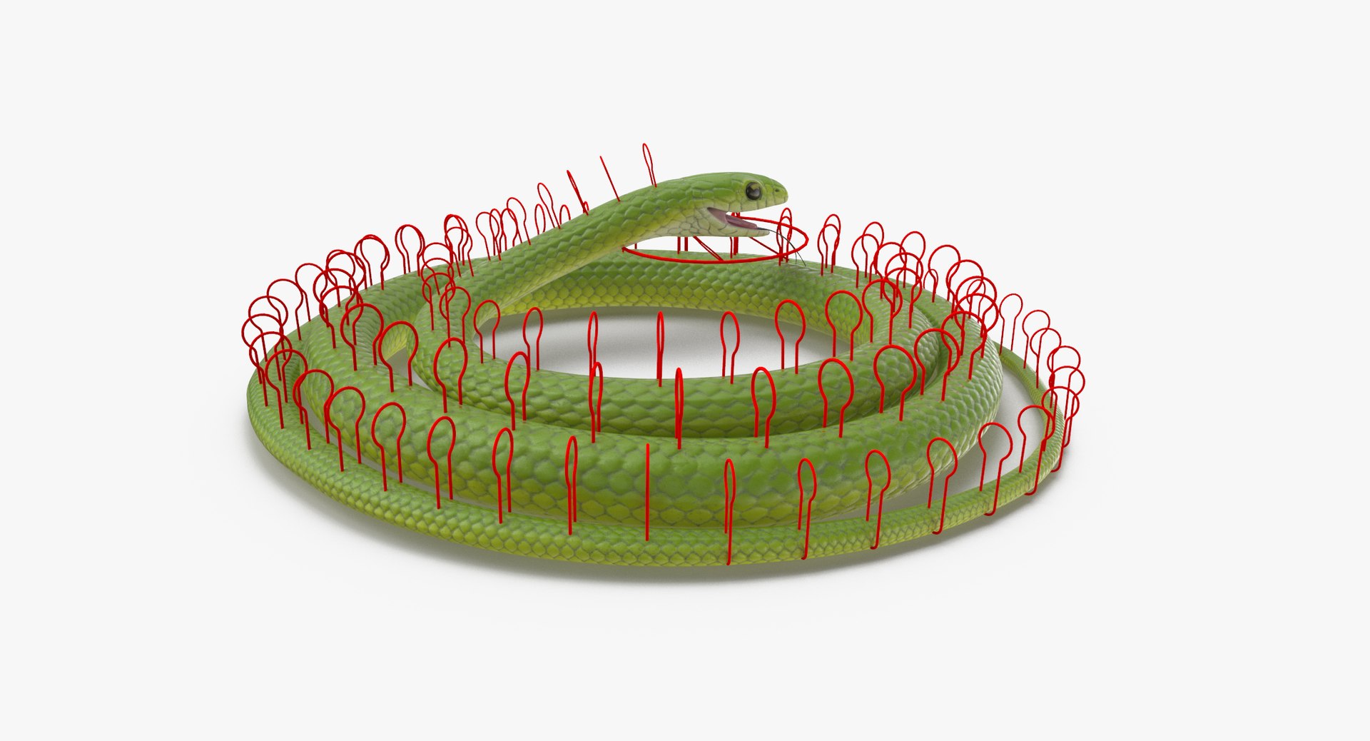 3d Rigged Snakes Black Green