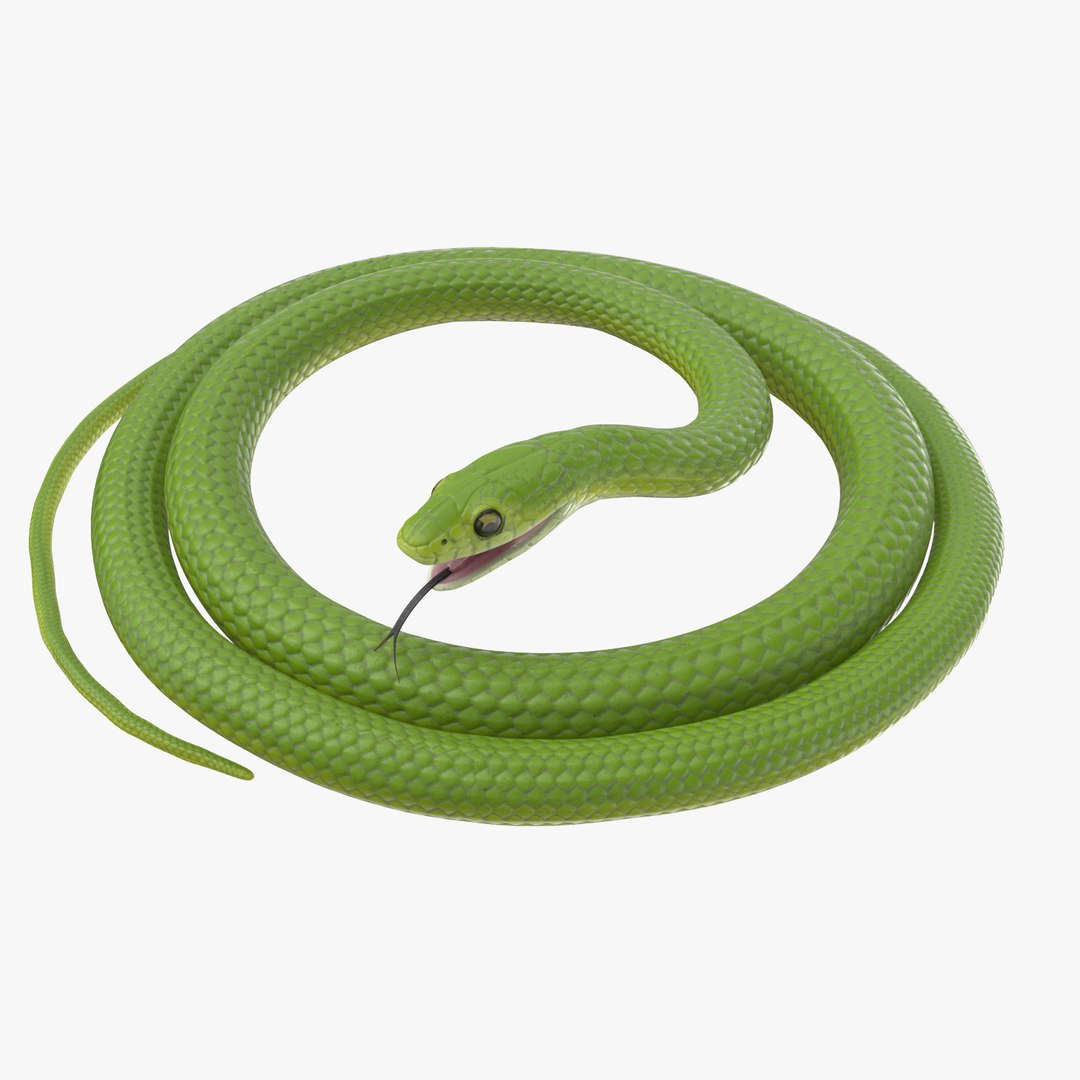3d Rigged Snakes Black Green