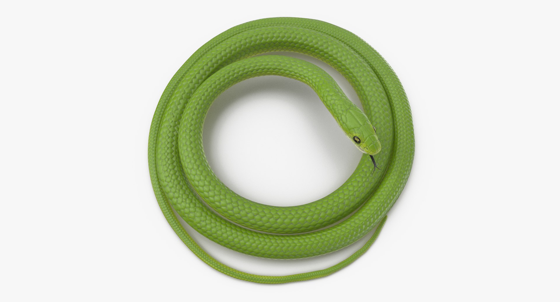 3d Rigged Snakes Black Green