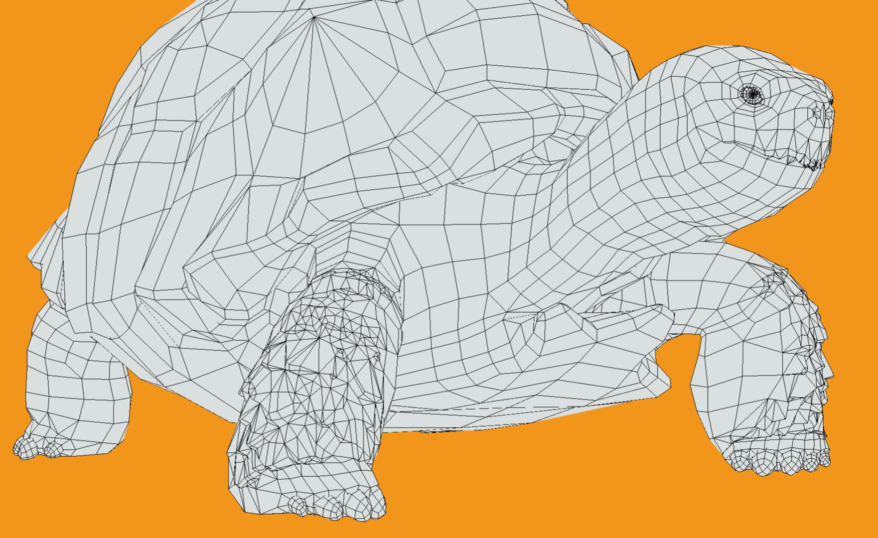 3D Model Tortoise Rigged And Animated - Highly Detailed Model ...