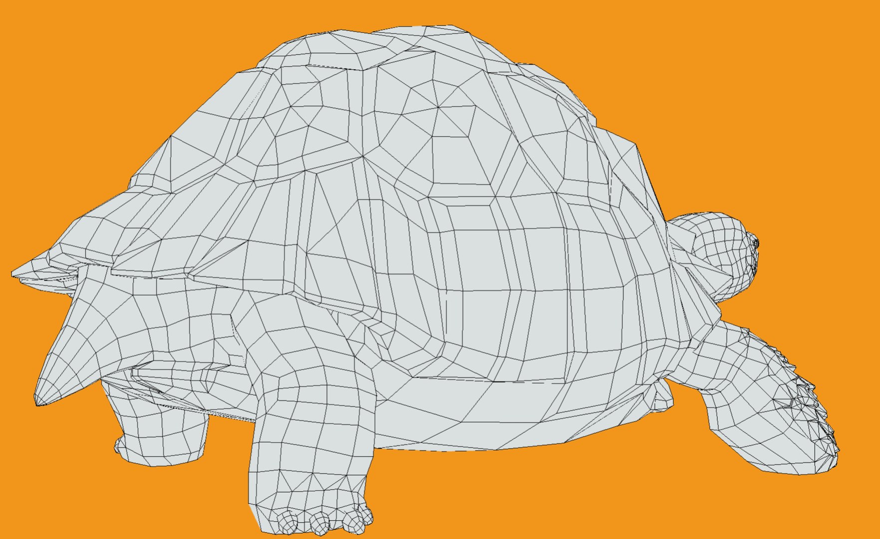 3D Model Tortoise Rigged And Animated - Highly Detailed Model ...
