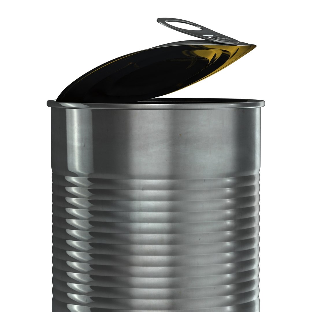 3d Model Open Tin 2