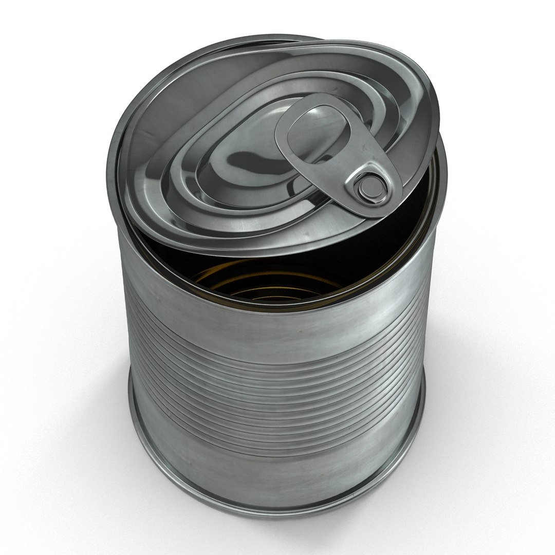 3d Model Open Tin 2