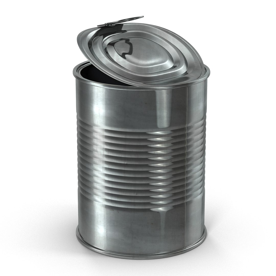 3d Model Open Tin 2