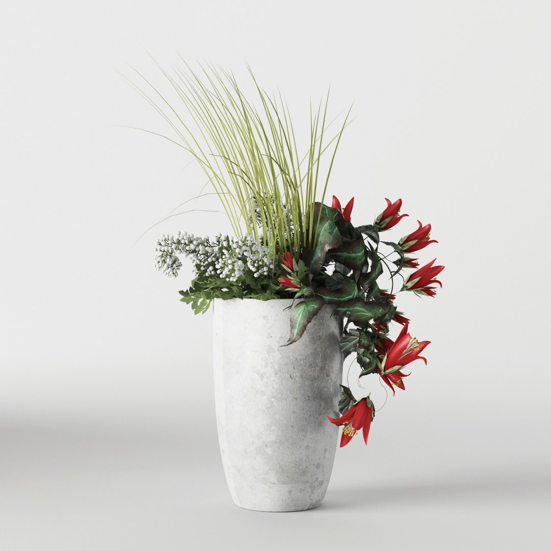 Flowers Max