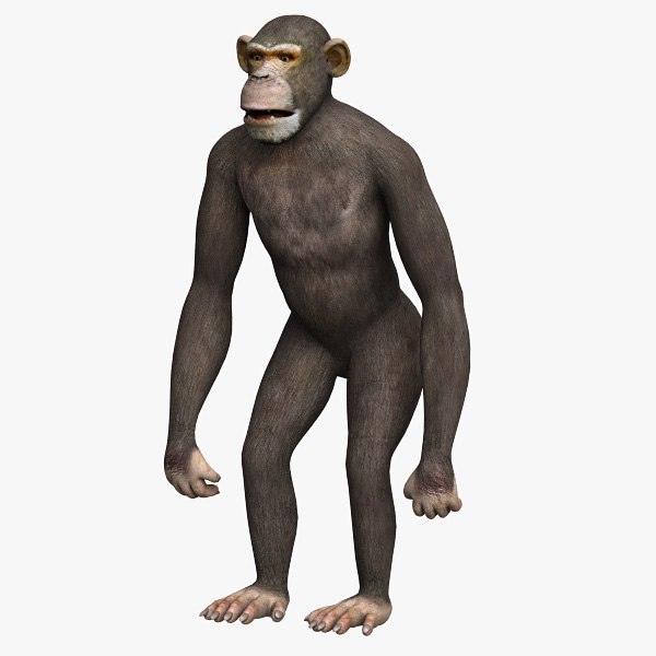 Primates Biped 3ds Max Models for Download | TurboSquid