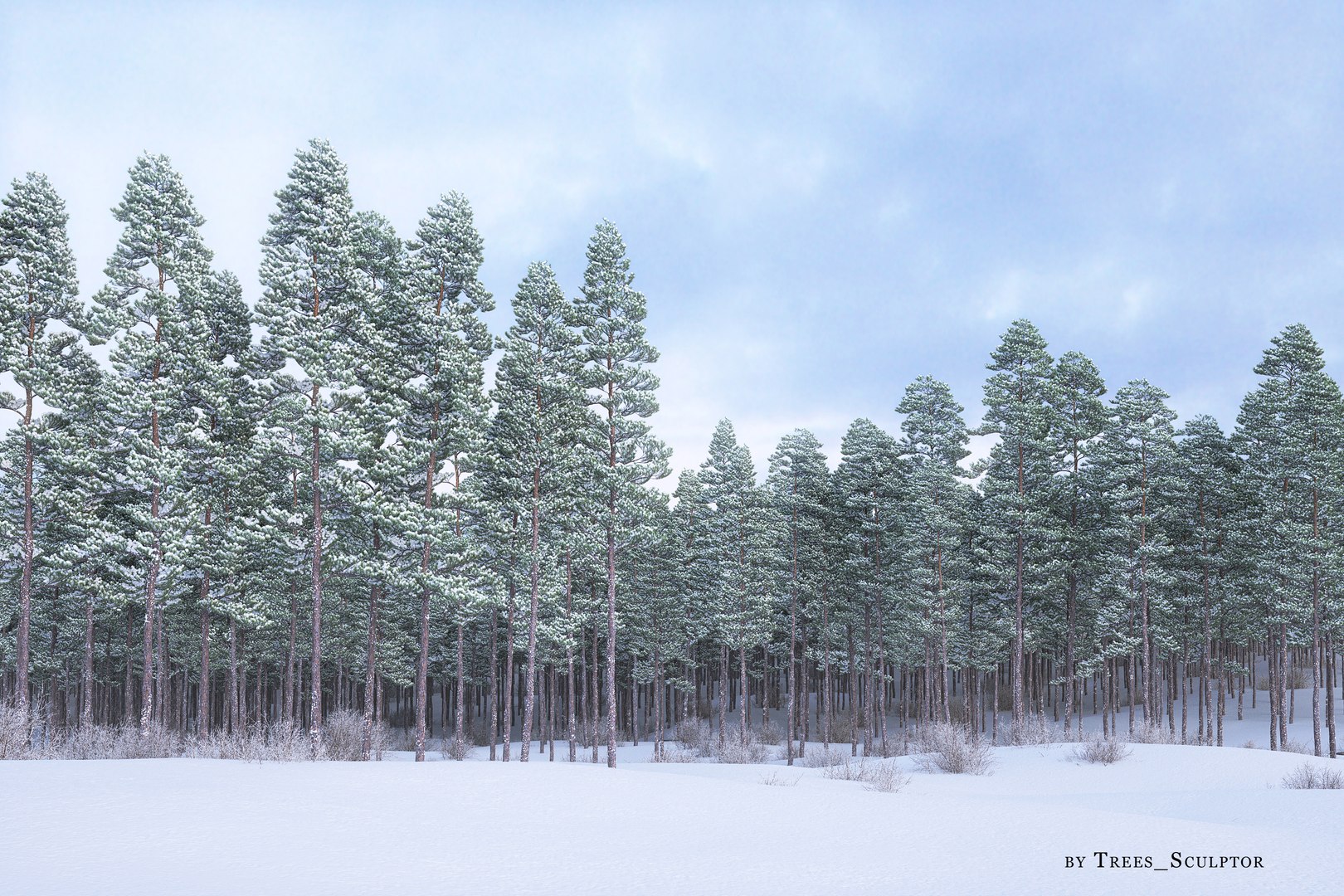 Pine Tree 3d Max