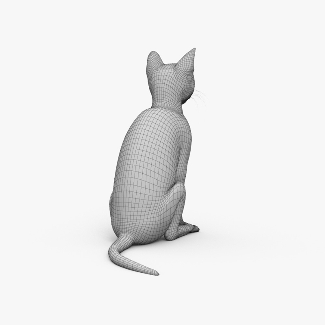 3D Sitting Cat HD - TurboSquid 1737856