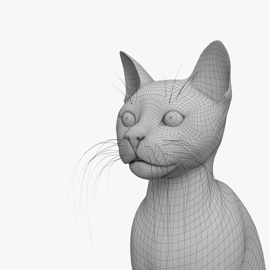 3D Sitting Cat HD - TurboSquid 1737856