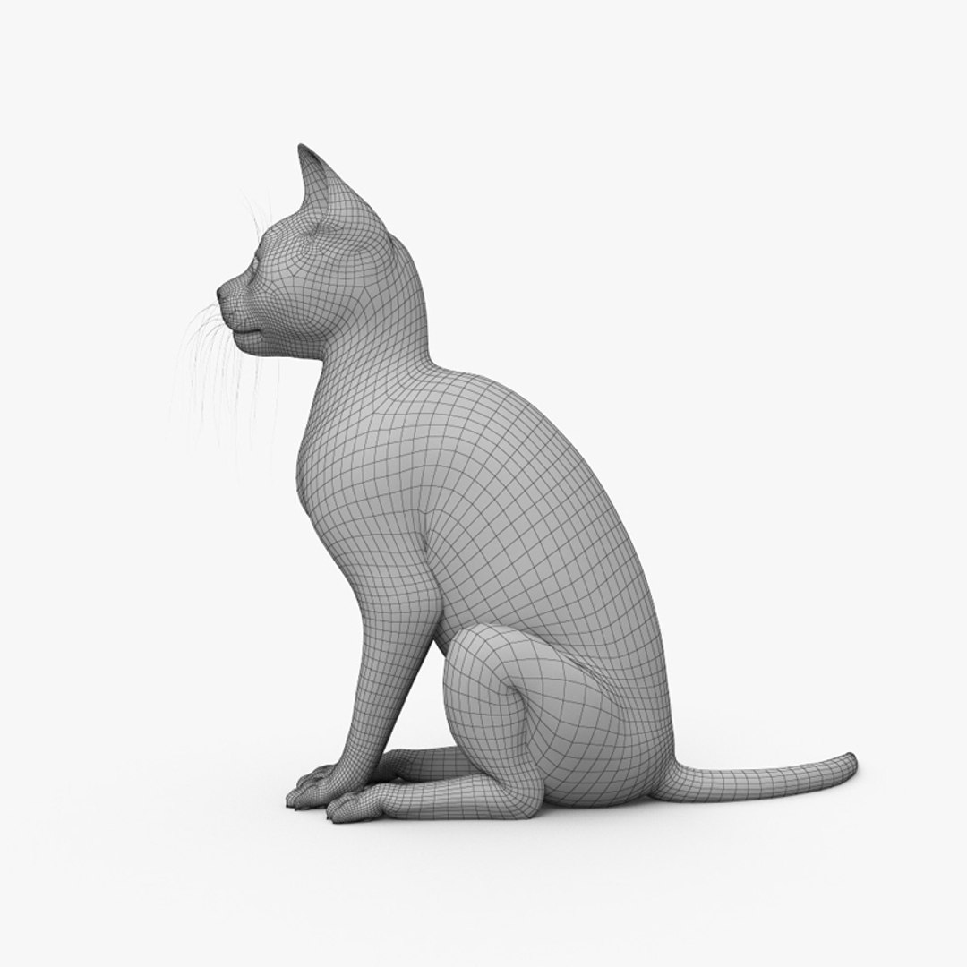 3D Sitting Cat HD - TurboSquid 1737856