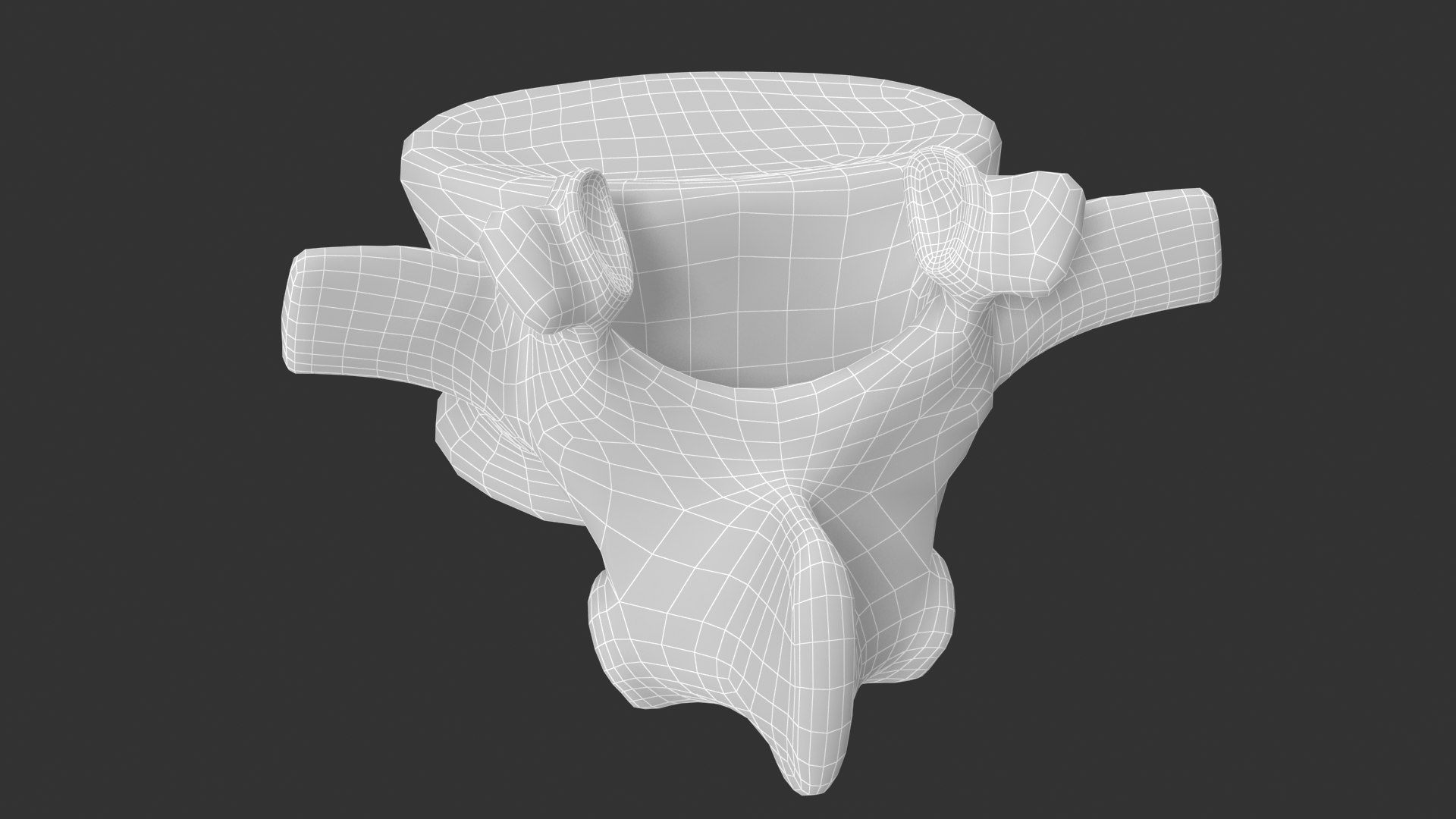 Lumbar spinal column 3D model - TurboSquid 1676934