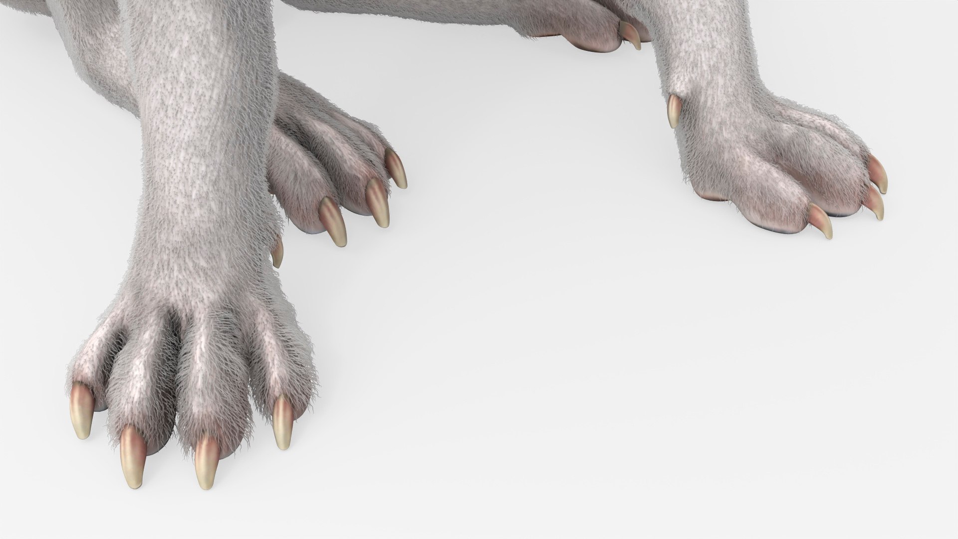 3D Small Jack Russell Dog Fur Sitting For Blender - TurboSquid 2520655