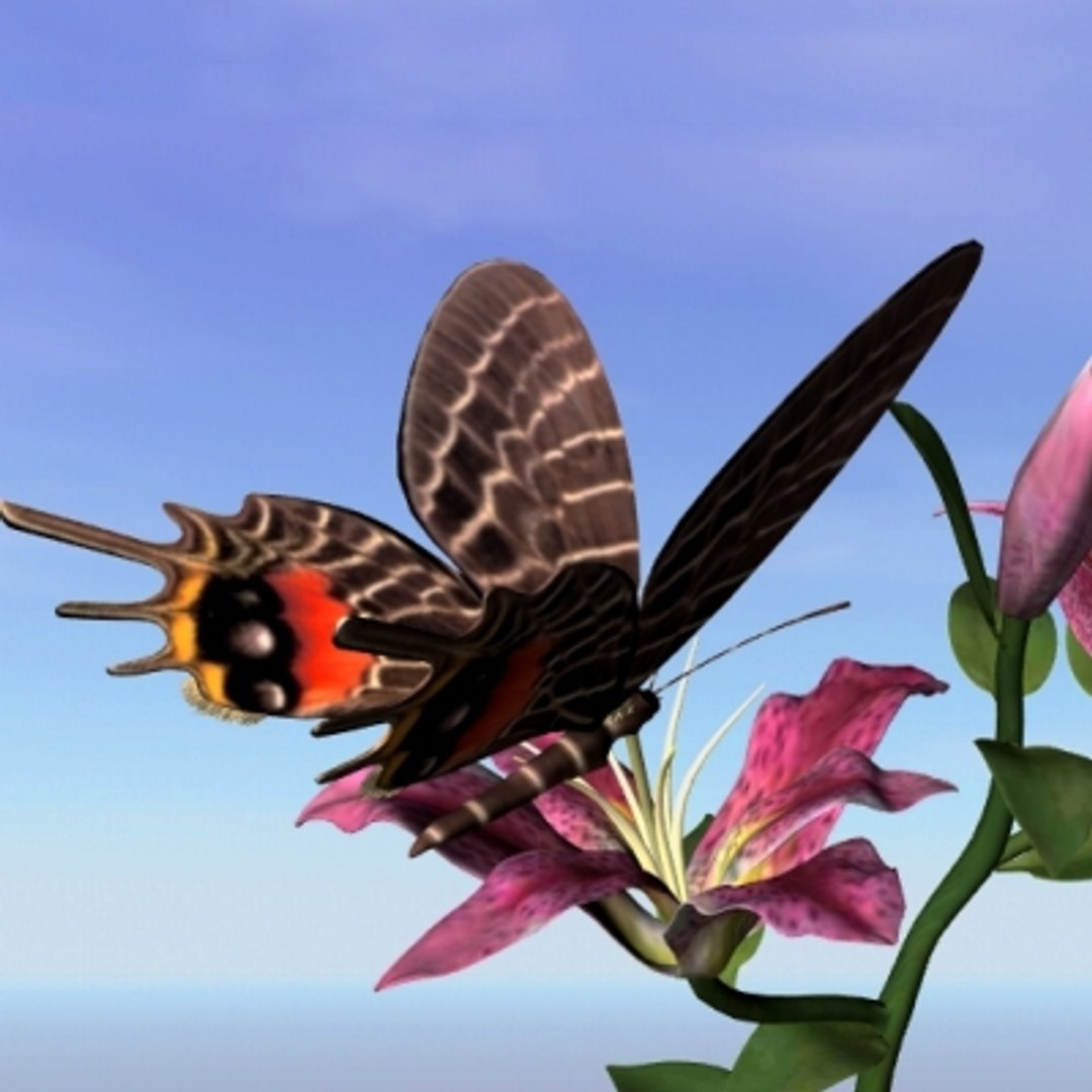 Butterfly Trogonoptera 3d Obj