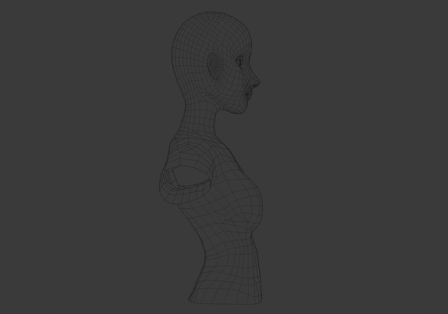 3D Model Basic Female Torso - TurboSquid 1932535