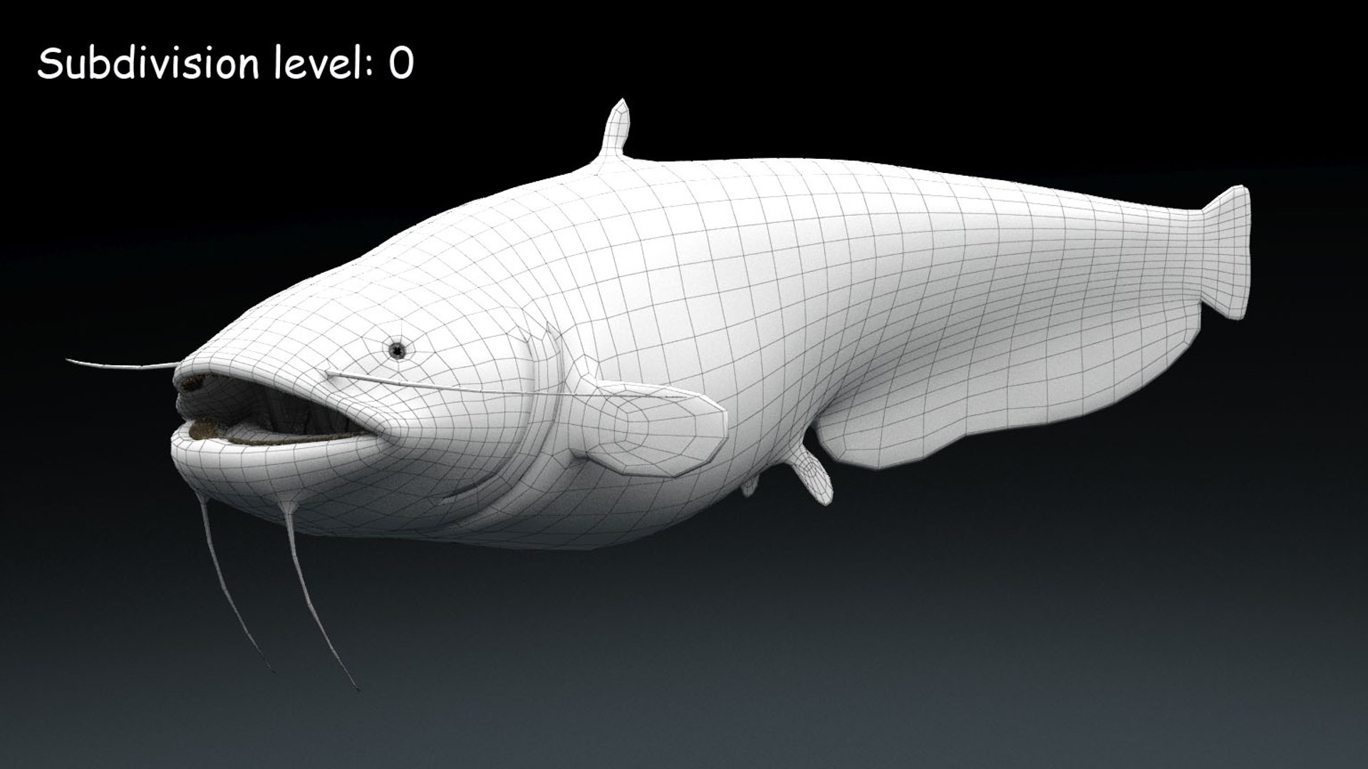 3d Catfish Fish Model