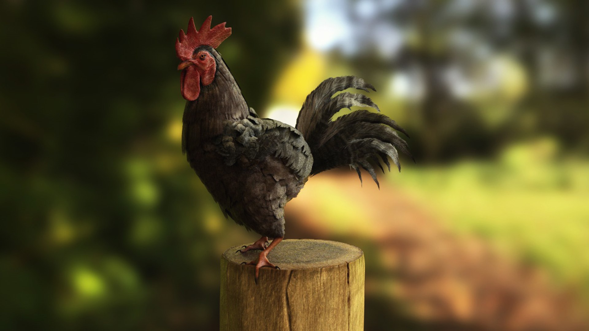 Rooster realistic character model - TurboSquid 1326338