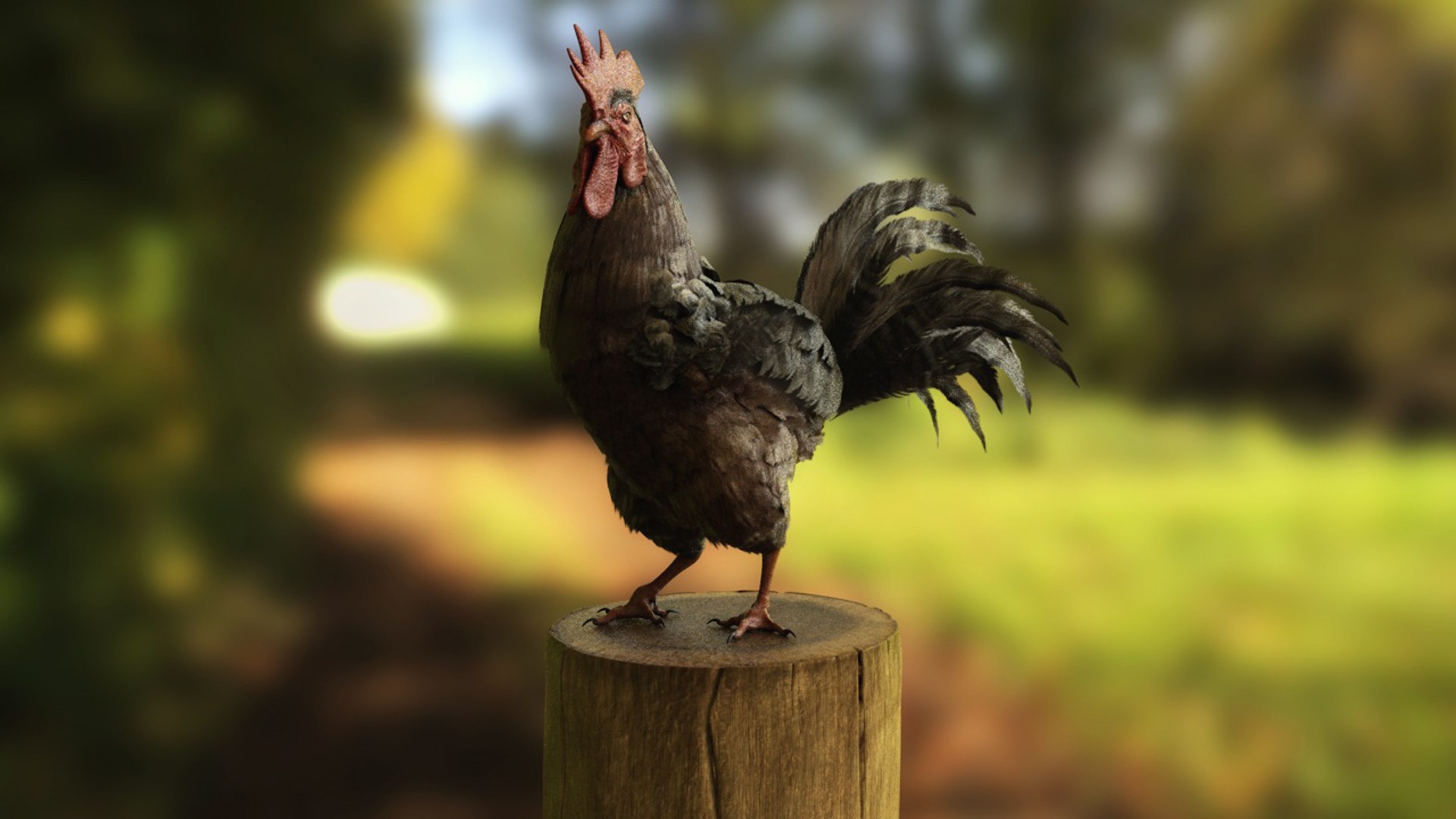 Rooster realistic character model - TurboSquid 1326338