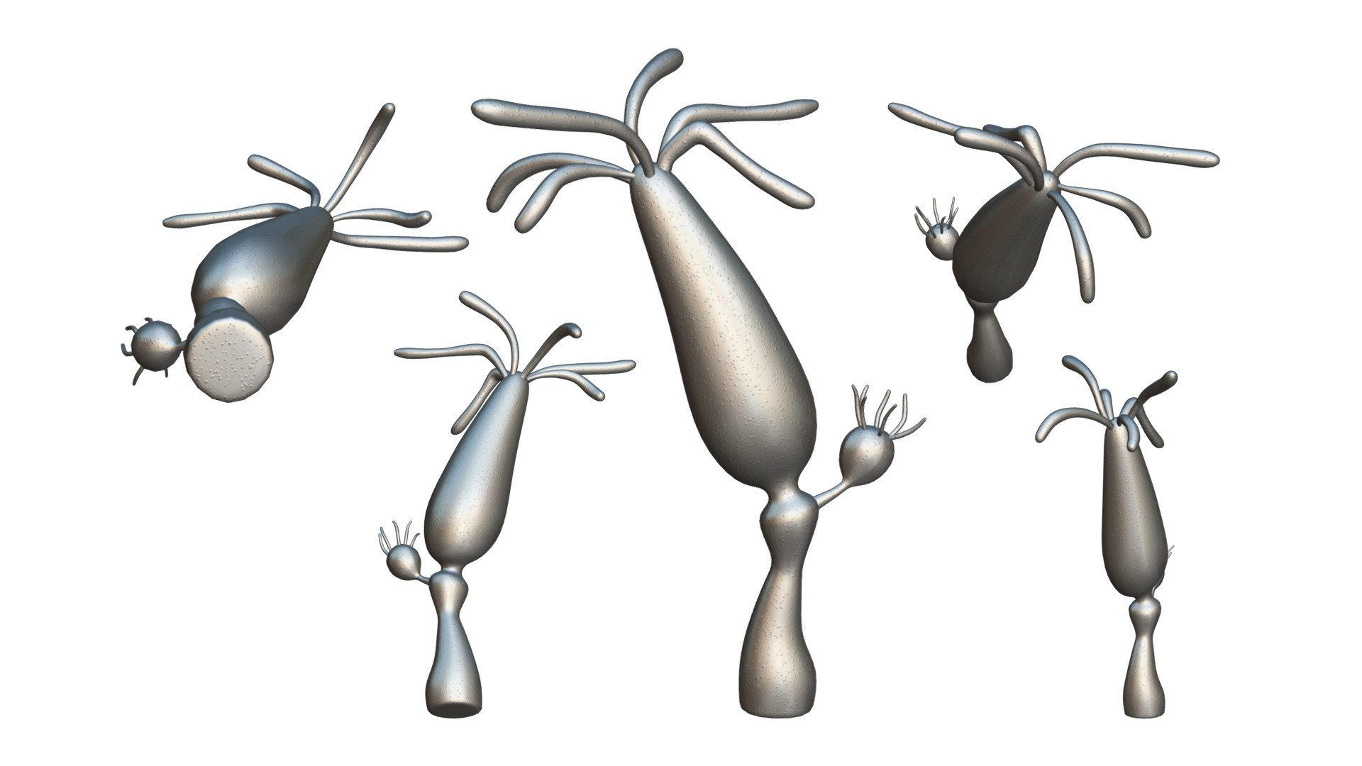 3D Hydra Genus Model - TurboSquid 2136696