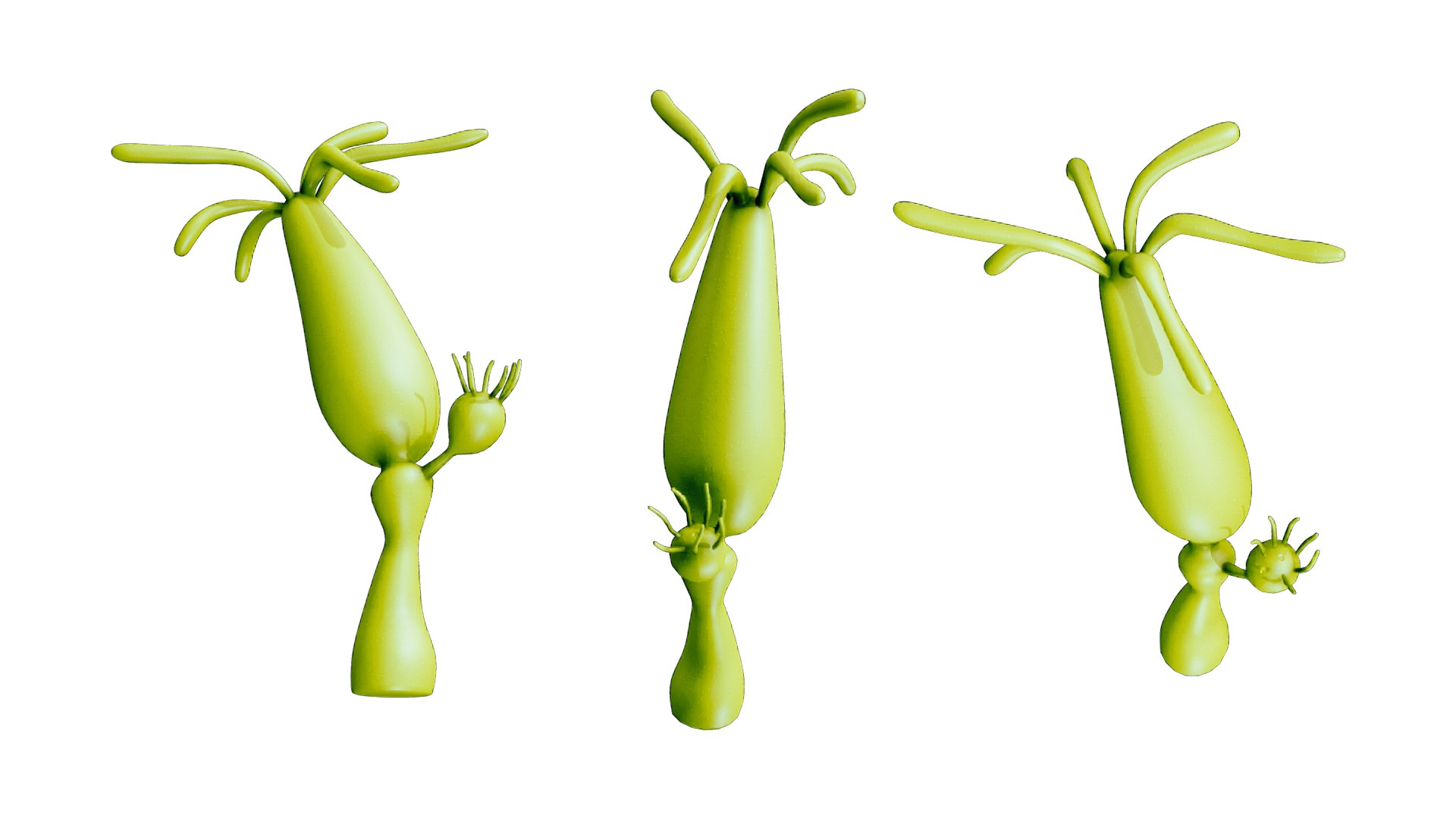 3D Hydra Genus Model - TurboSquid 2136696