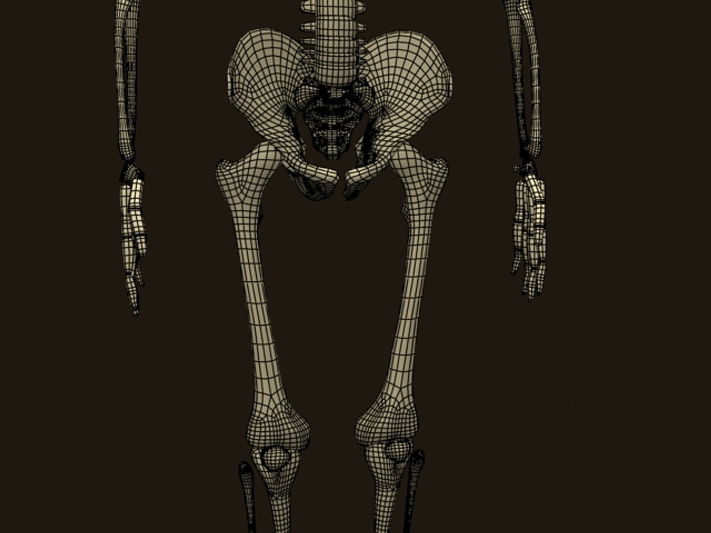 Skeleton 3d 3ds