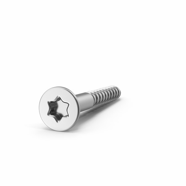 Star Head Screw 3D 모델 - TurboSquid 1972751