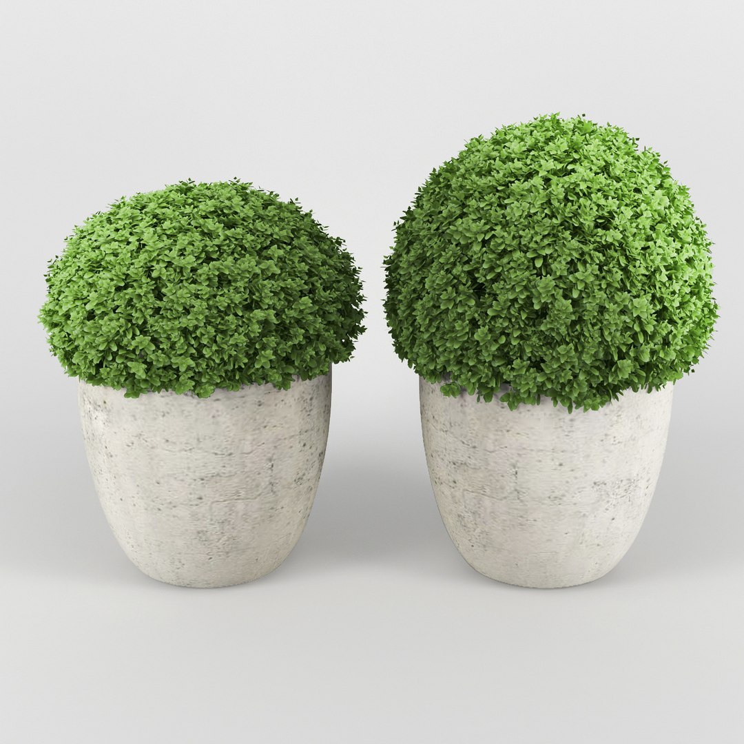 3d Model Clay