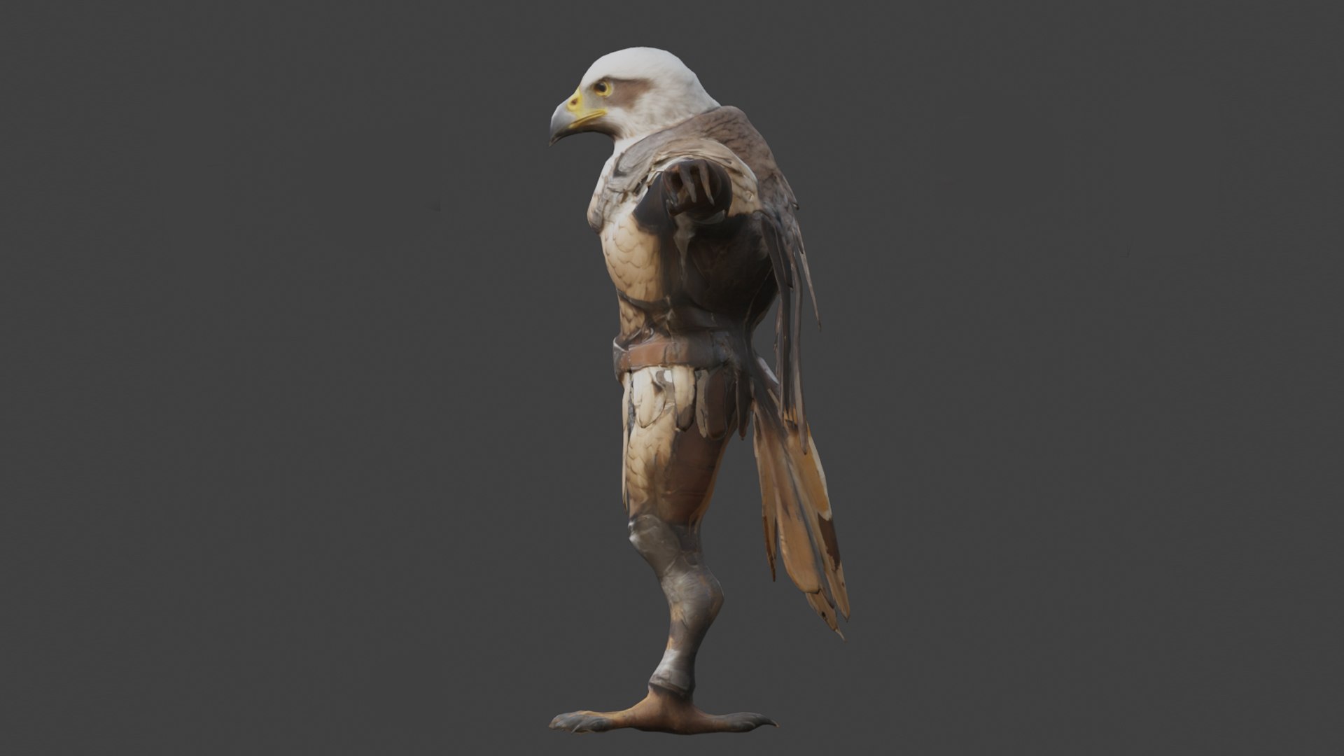 Hawk Man Model - TurboSquid 2330117