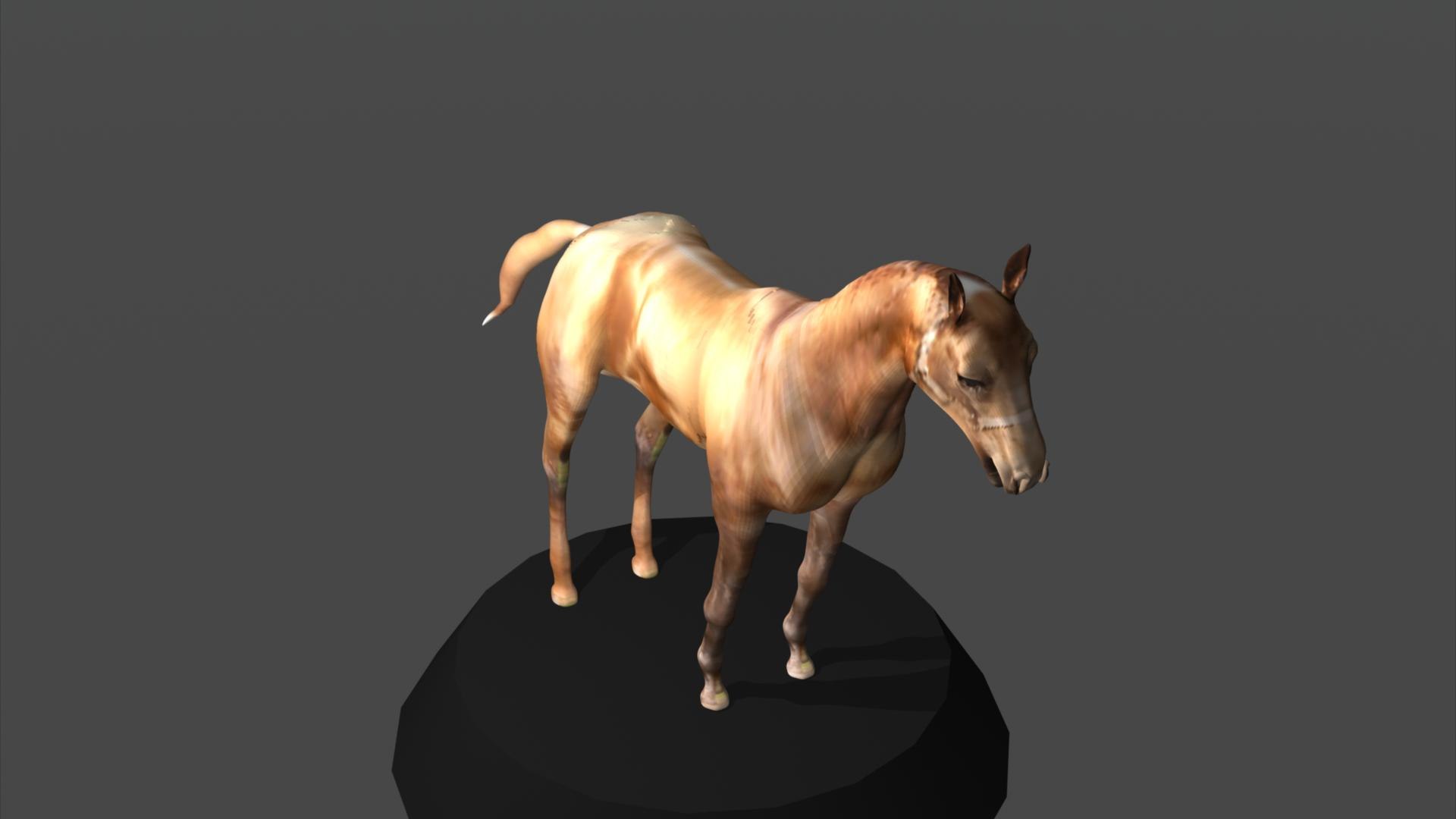3d Model Horse Ged