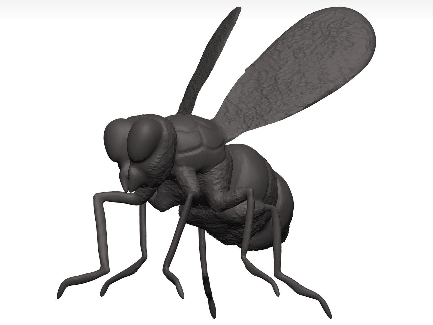 3D Fly Stl - TurboSquid 1774181