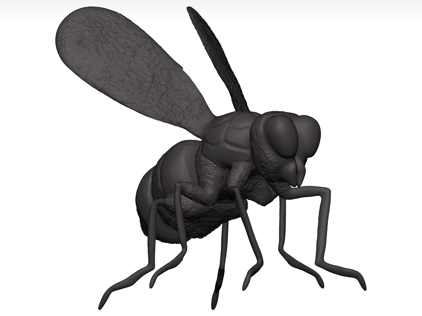3D Fly Stl - TurboSquid 1774181