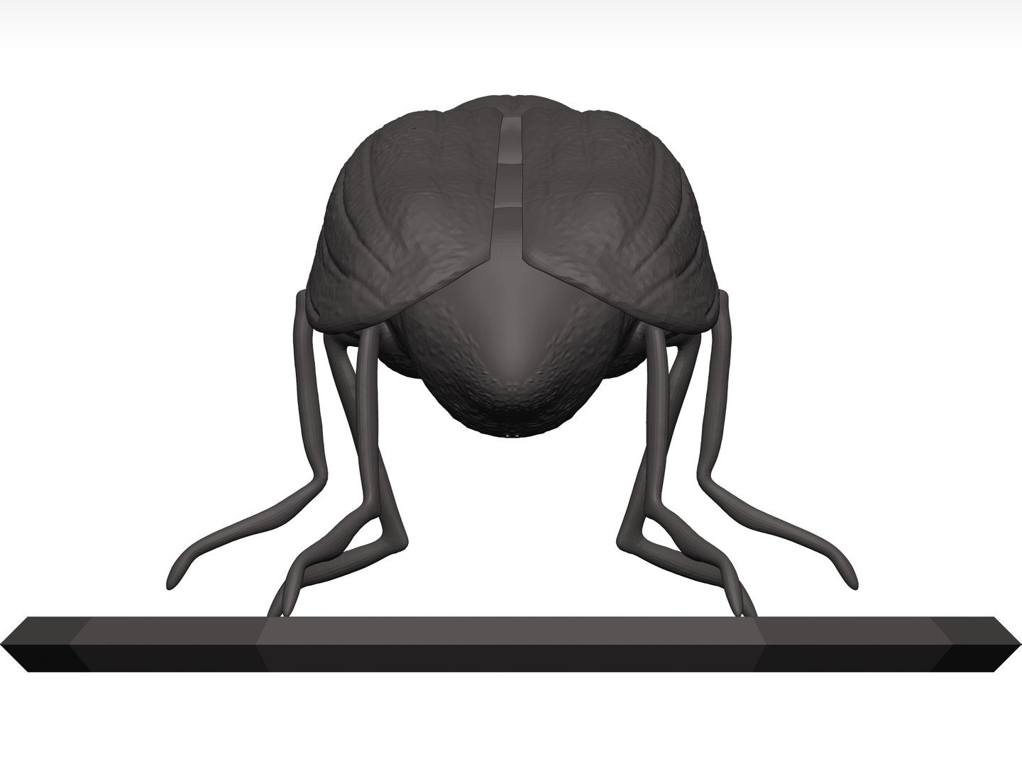 3D Fly Stl - TurboSquid 1774181