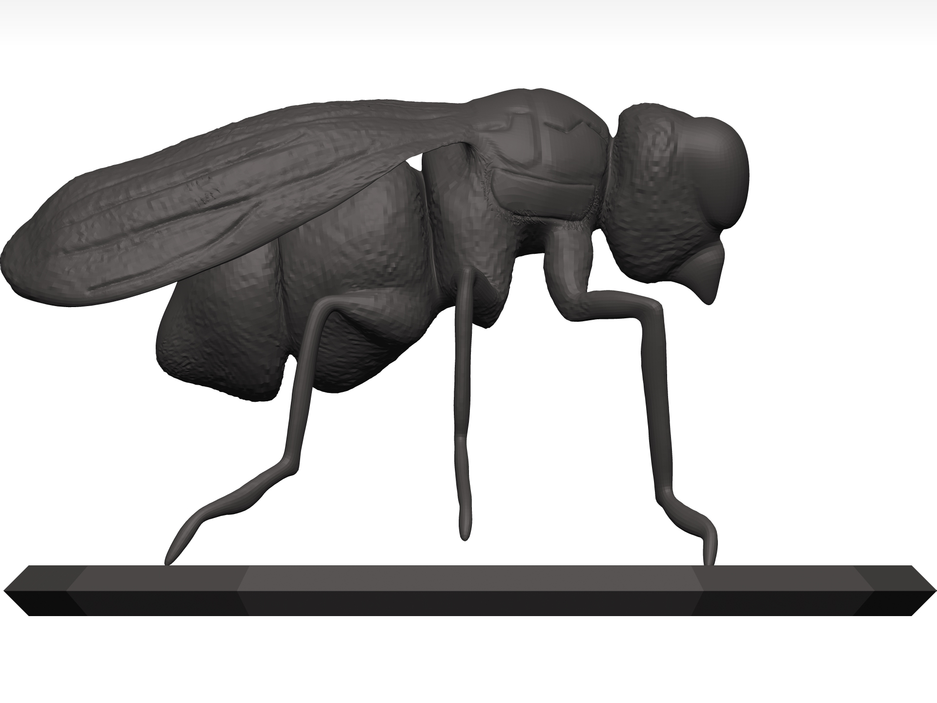 3D Fly Stl - TurboSquid 1774181