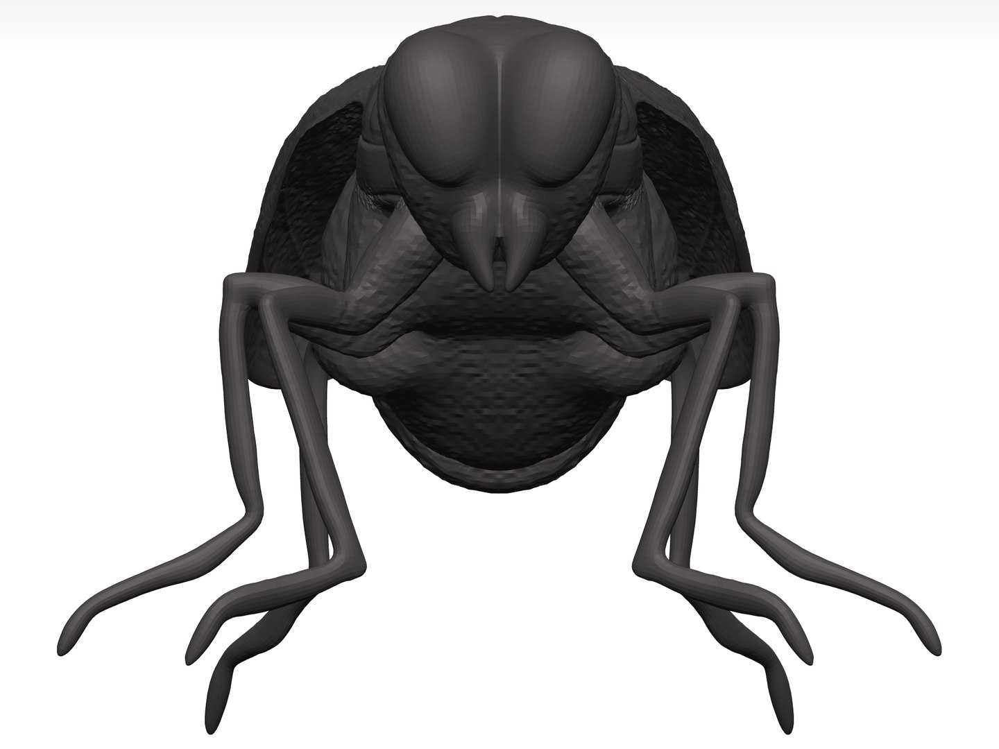 3D Fly Stl - TurboSquid 1774181
