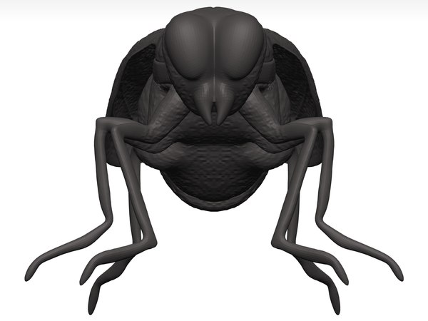 3D Fly Stl - TurboSquid 1774181